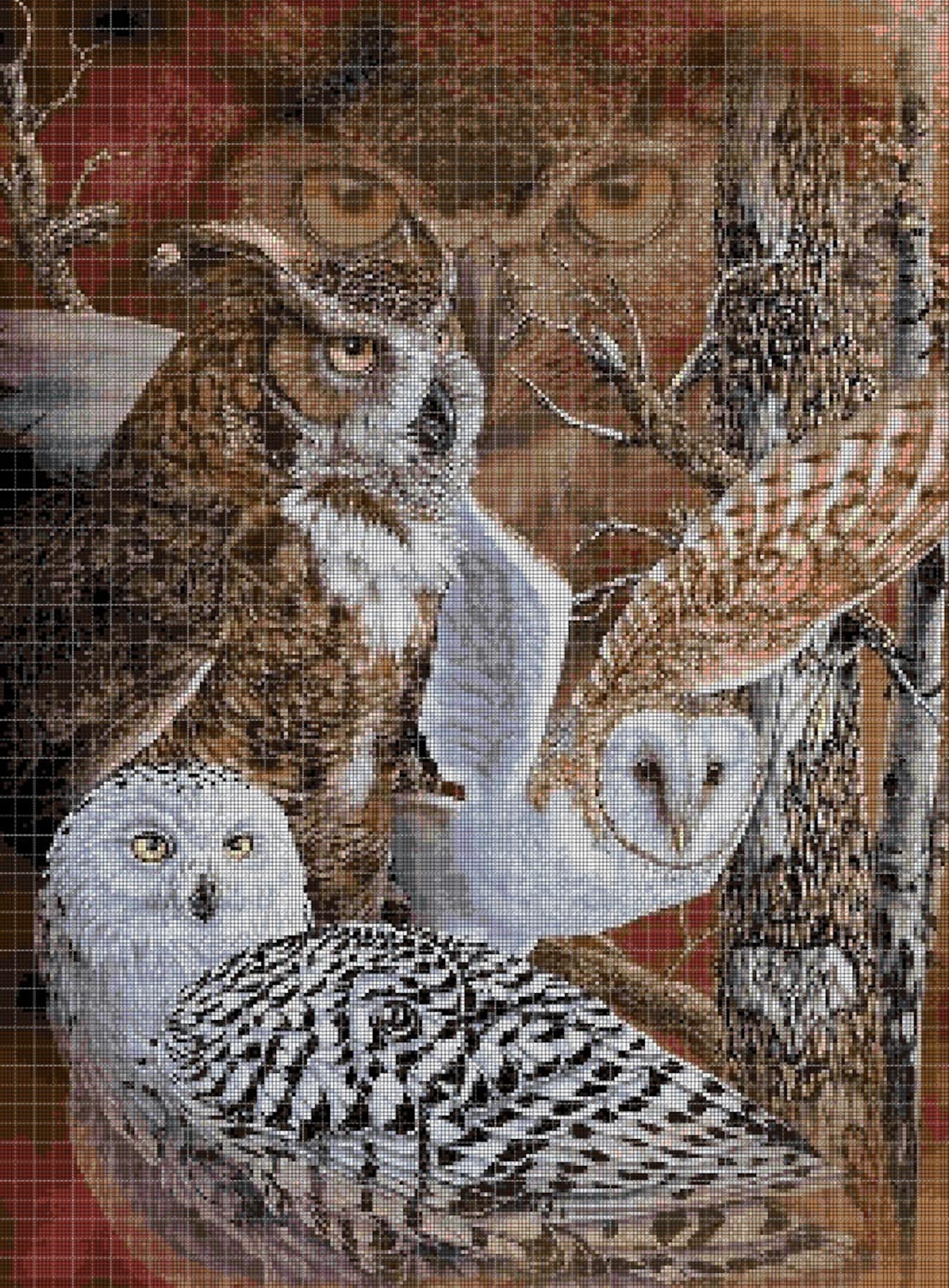 Owls Cross Stitch Pattern in Pdf DMC - Etsy