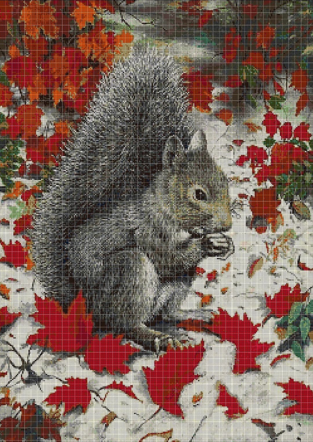 Squirrel Cross Stitch Pattern in Pdf DMC - Etsy