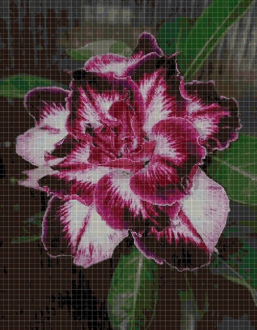 Desert Rose Cross Stitch Pattern in Pdf DMC - Etsy