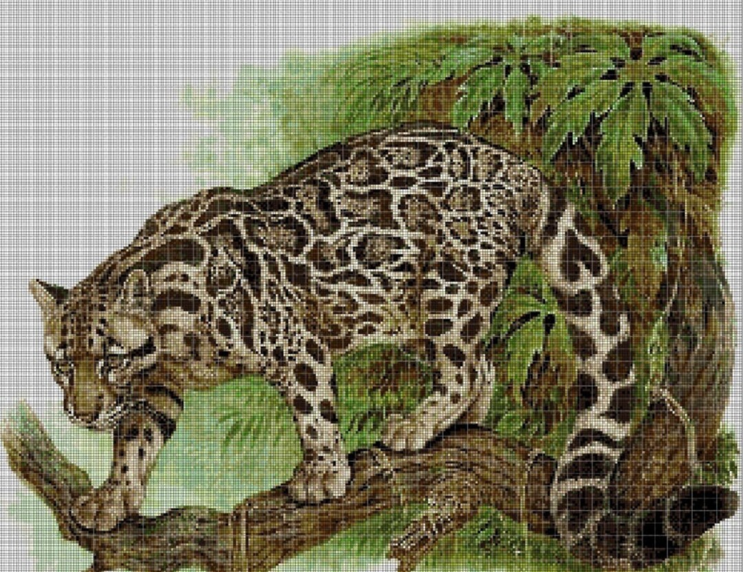 Clouded Leopard Cross Stitch Pattern in Pdf DMC - Etsy