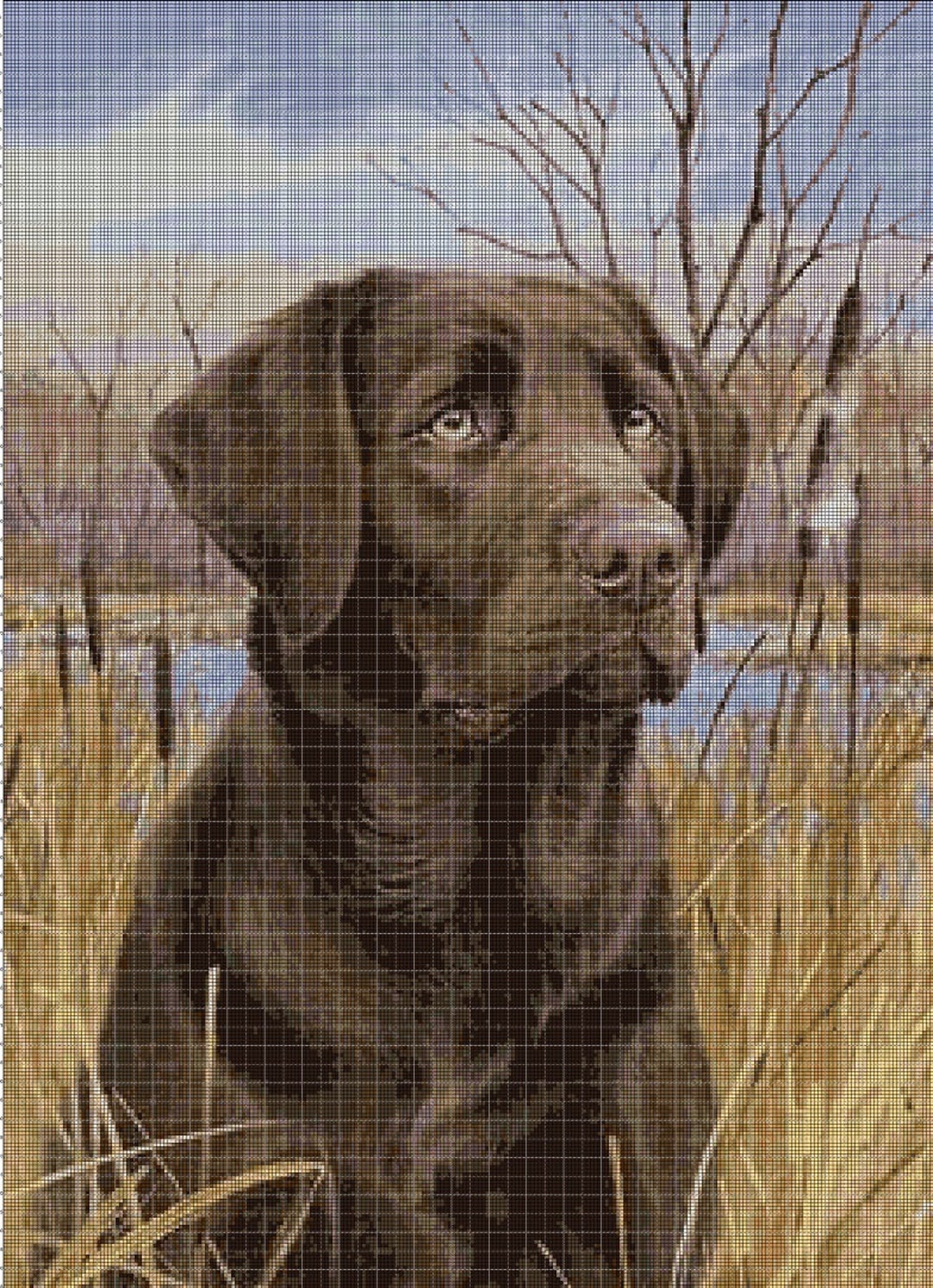 Dog Cross Stitch Pattern in Pdf DMC - Etsy