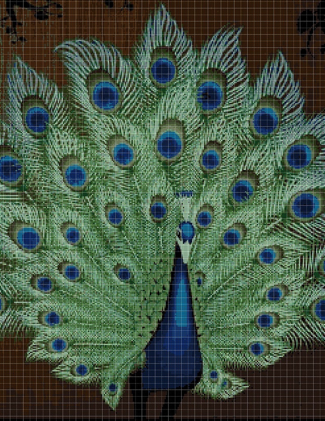 Peacock Cross Stitch Pattern in Pdf DMC - Etsy