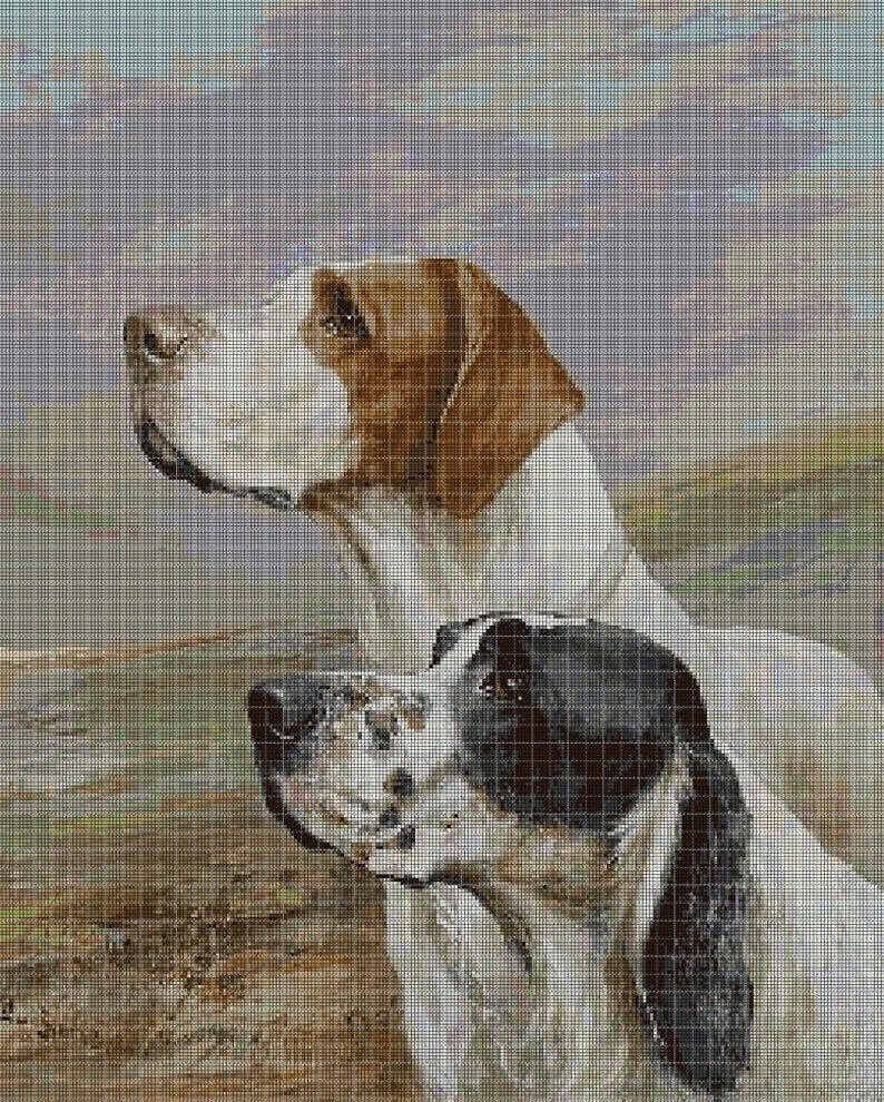 English Setter and Pointer Cross Stitch Pattern in Pdf DMC - Etsy