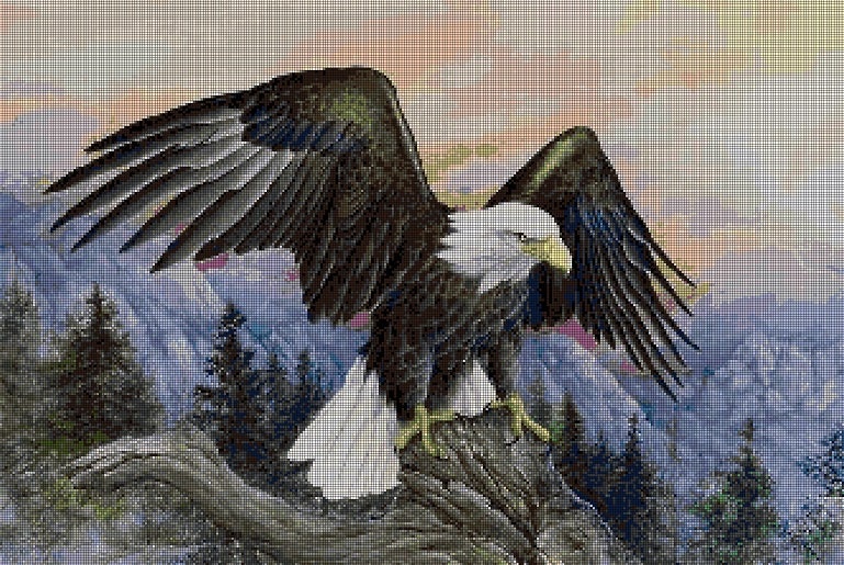 White-headed Eagle Cross Stitch Pattern in Pdf DMC - Etsy