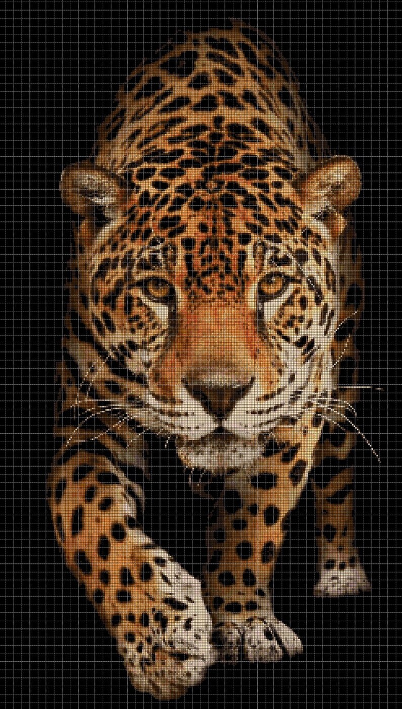 Jaguar Predator Cross Stitch Pattern in Pdf DMC - Etsy