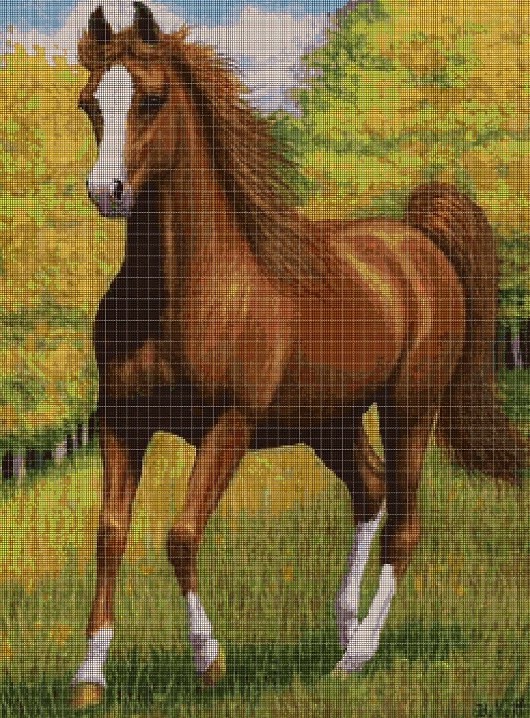 Horse Cross Stitch Pattern in Pdf DMC - Etsy