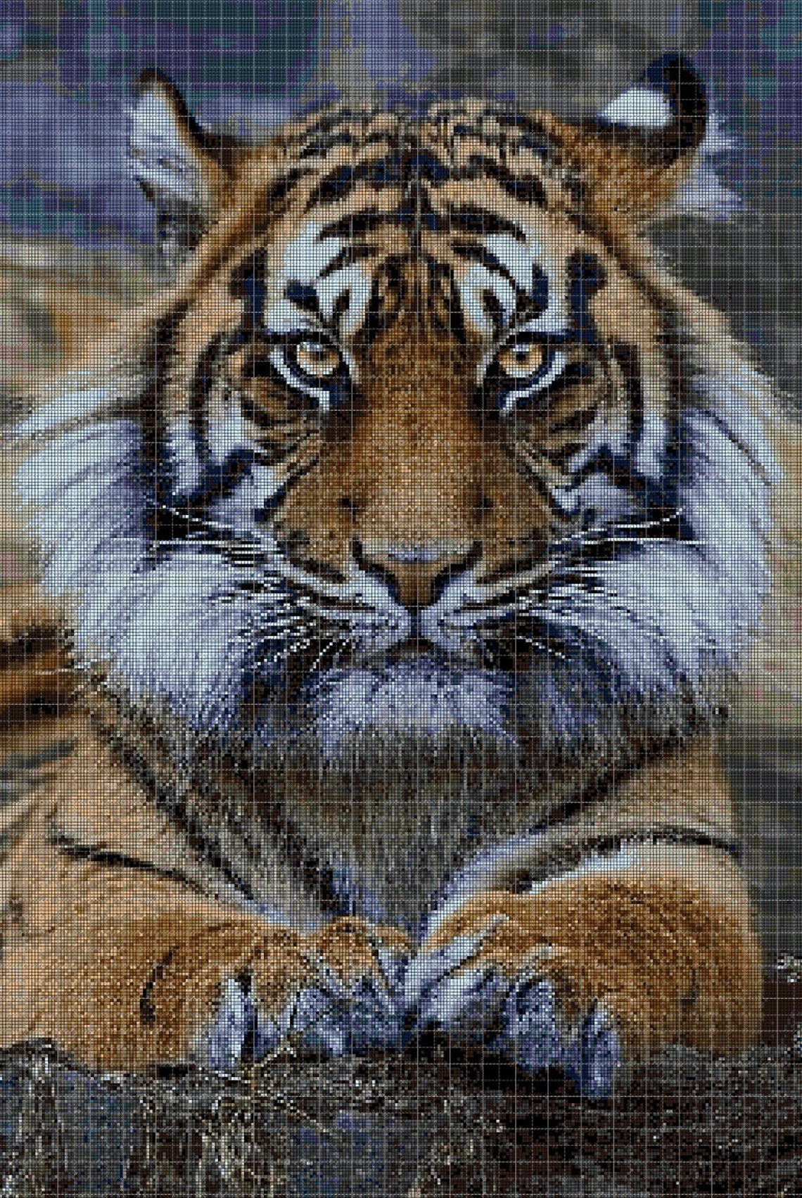 Sumatran Tiger Cross Stitch Pattern in Pdf DMC - Etsy