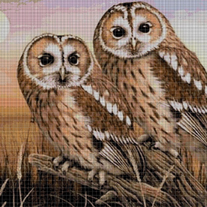 TomstitchPatterns - Etsy