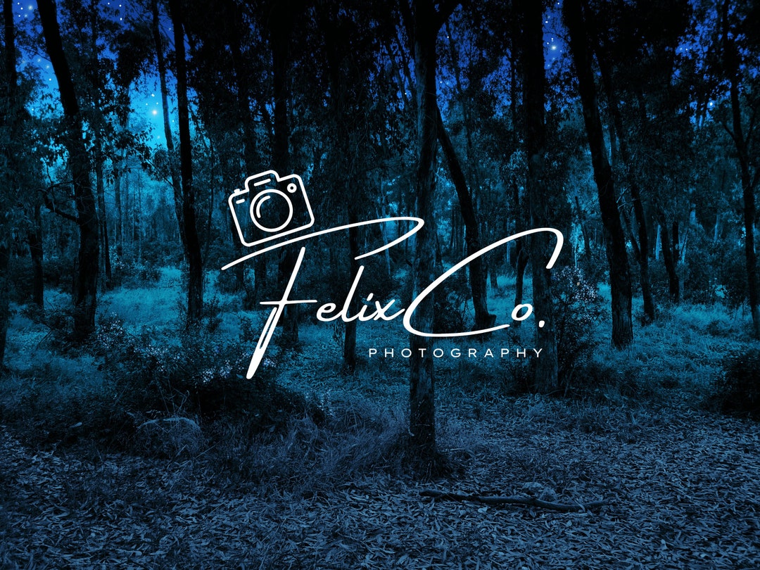 Custom Photography Logo, Watermark Logo Design for Photographer, Custom ...