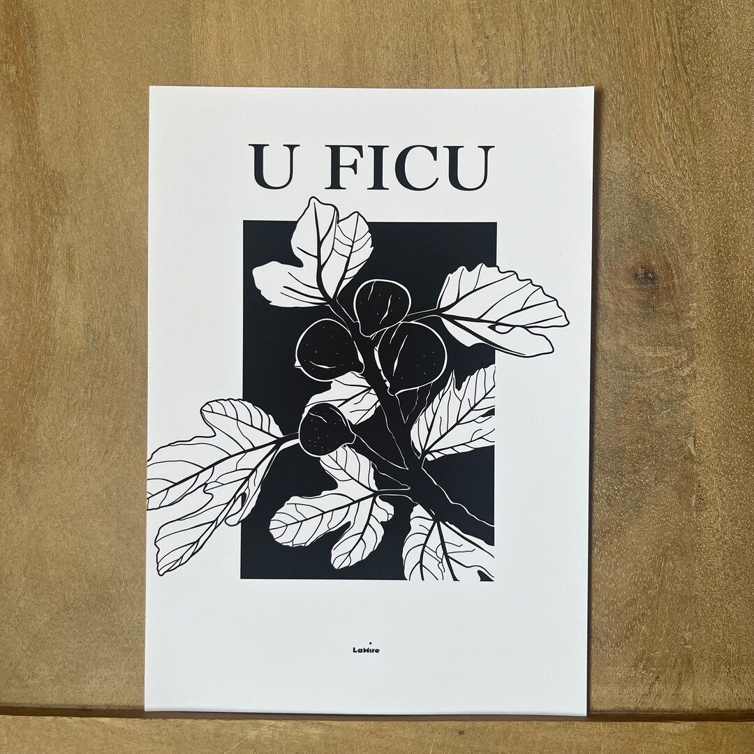 Fig Poster - Etsy