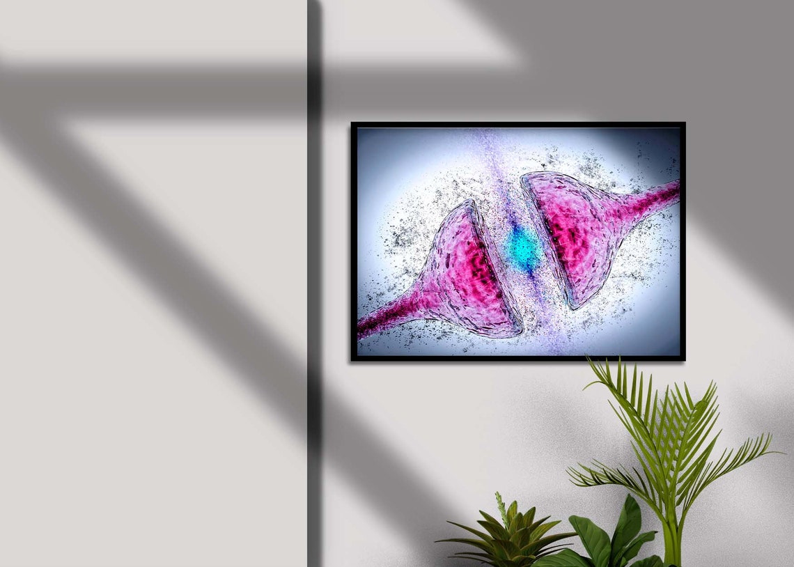 Synapse Receptor Brain Nerve Cell Science Art Anatomy Poster Watercolor ...