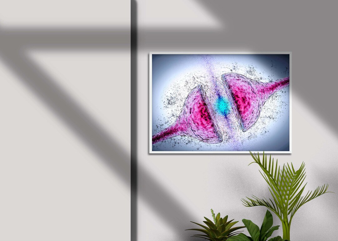 Synapse Receptor Brain Nerve Cell Science Art Anatomy Poster Watercolor ...