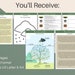 Tree of Life Narrative Therapy Pack, Worksheets for Mental Health ...