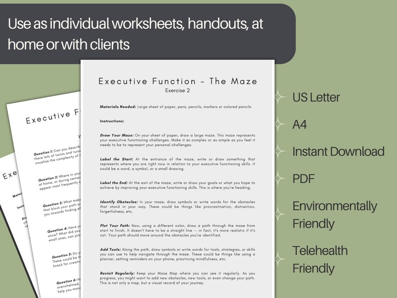 Executive Function 'the Maze' Exercises, ADHD Printable (digital ...