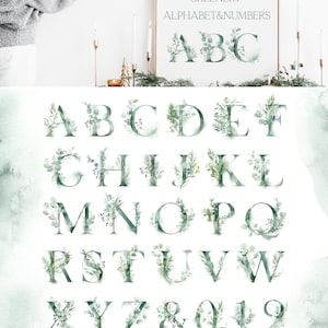 Watercolor Winter Greenery Alphabet & Numbers | Botanical Green Letters ...