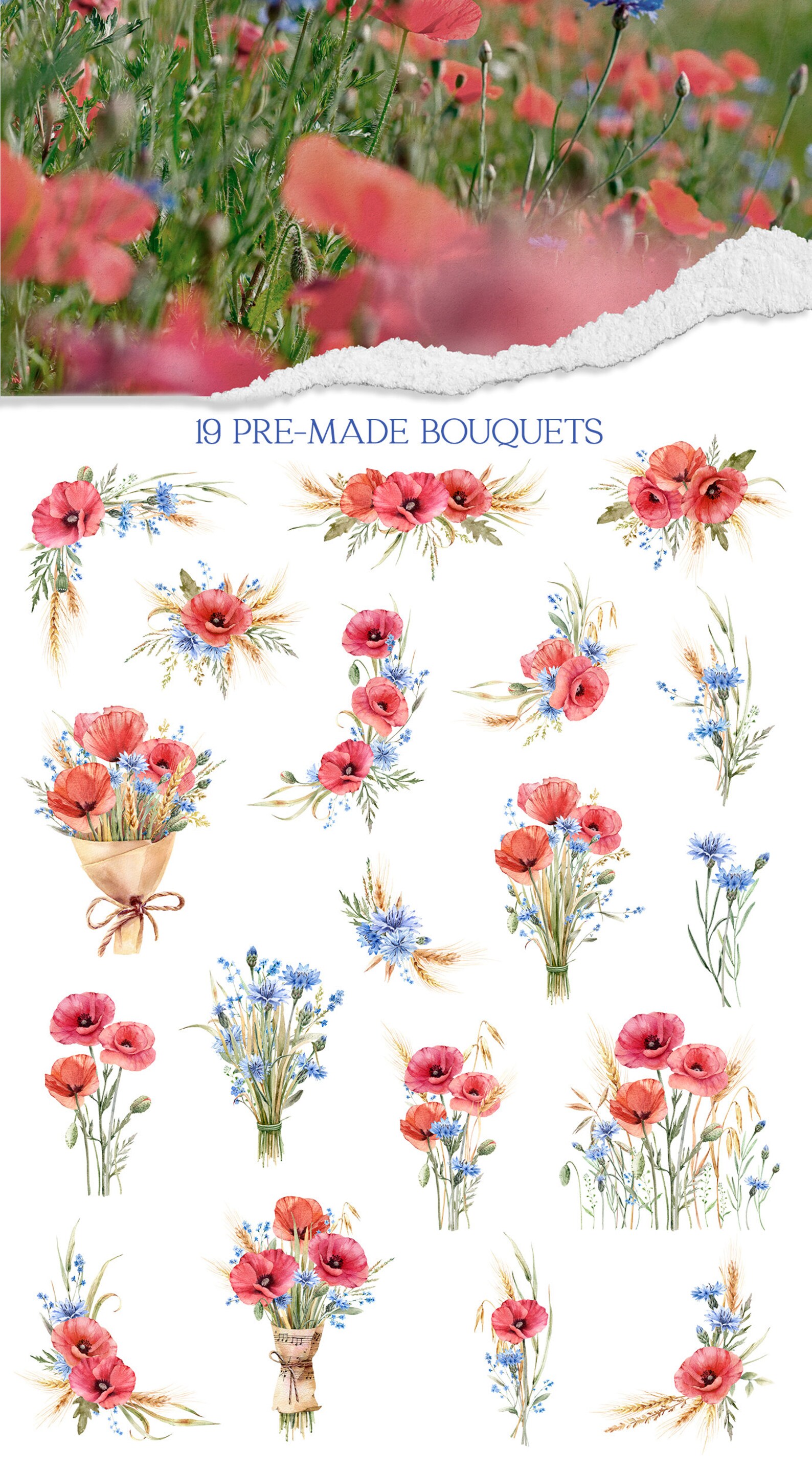 Watercolor Poppy Flowers Clipart Bundle Red and Blue Floral - Etsy