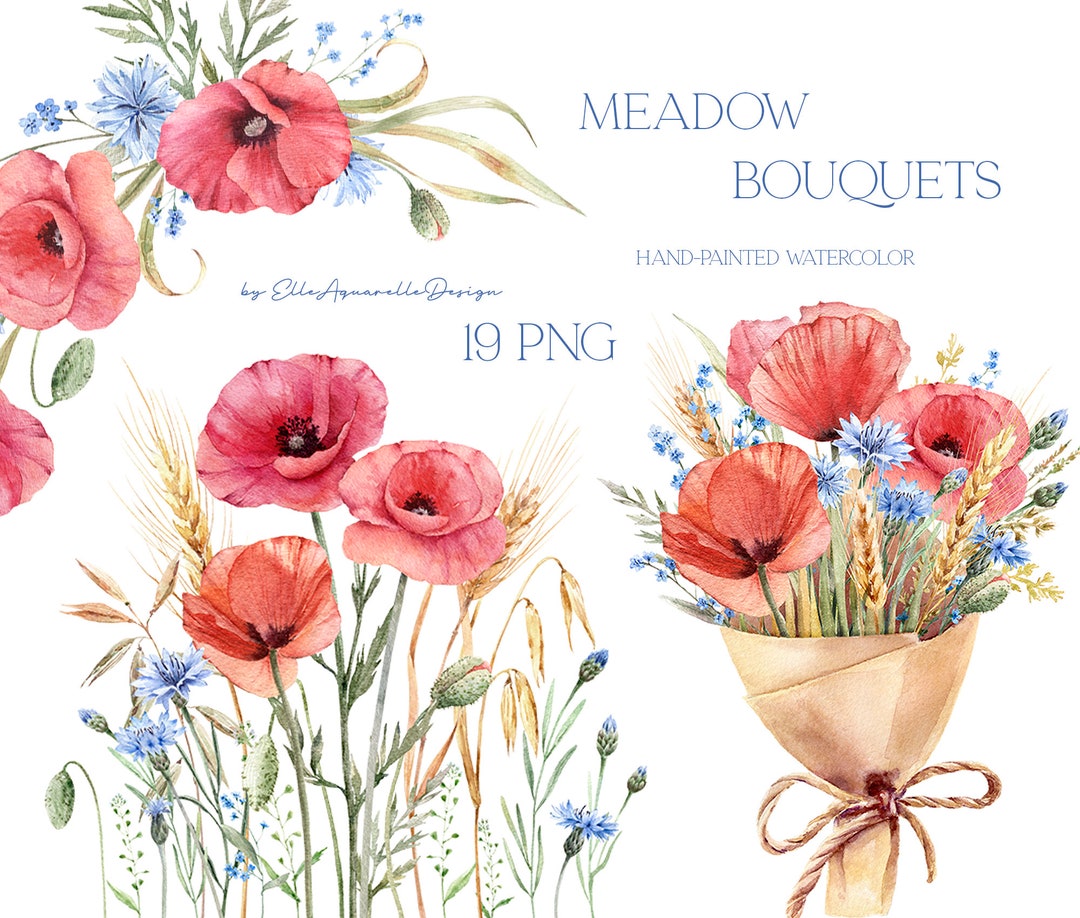 Watercolor Poppy Clipart, Watercolor Flowers Clipart, Red Floral ...