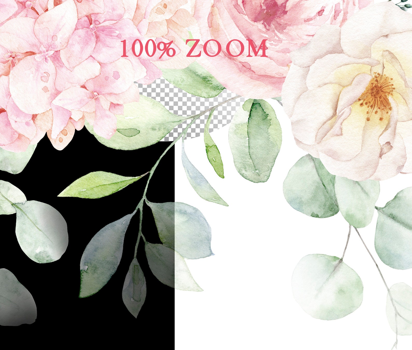 Watercolor Floral Border Blush Pink Roses Clipart Seamless - Etsy