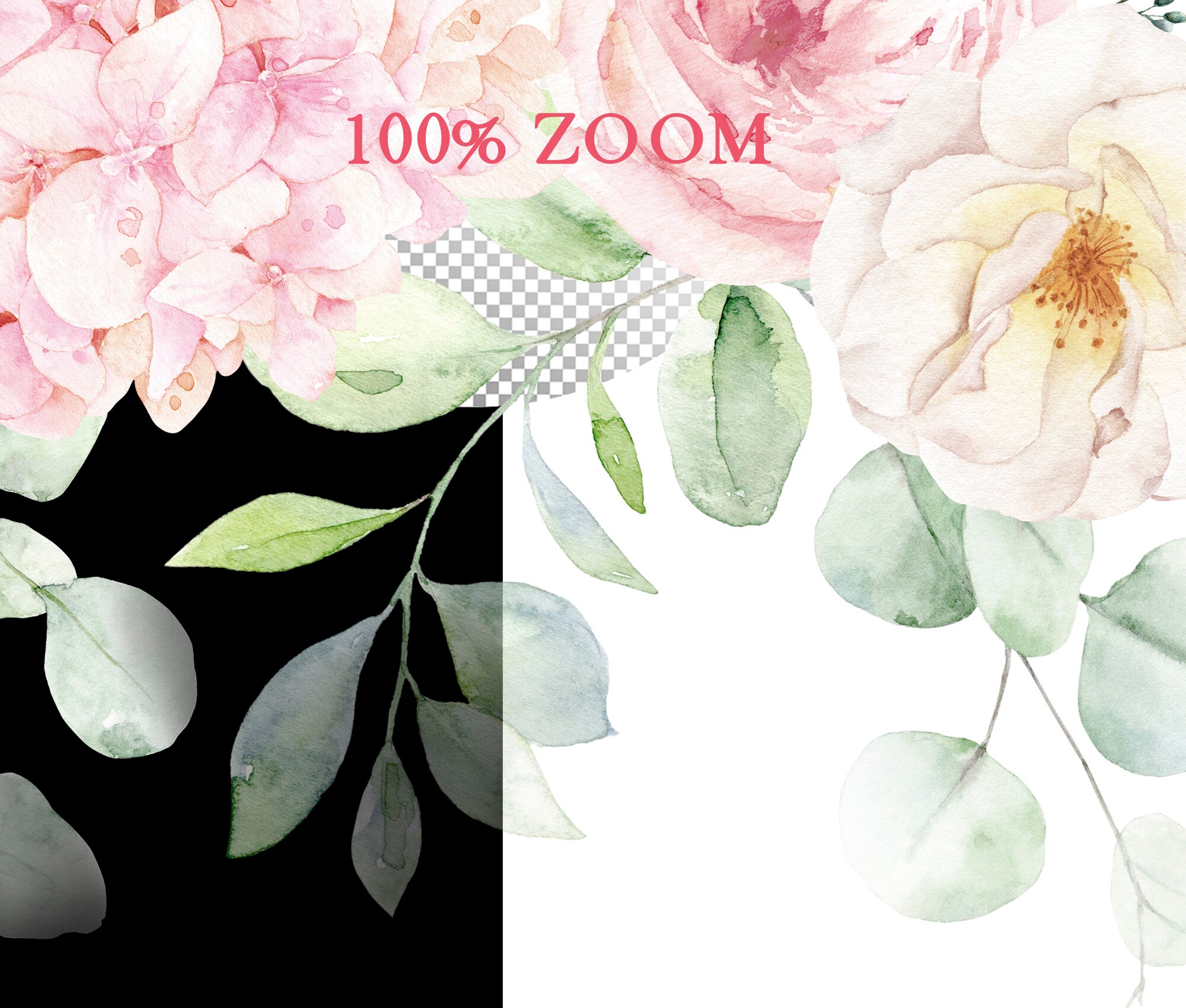 Watercolor Floral Border Blush Pink Roses Clipart Seamless - Etsy