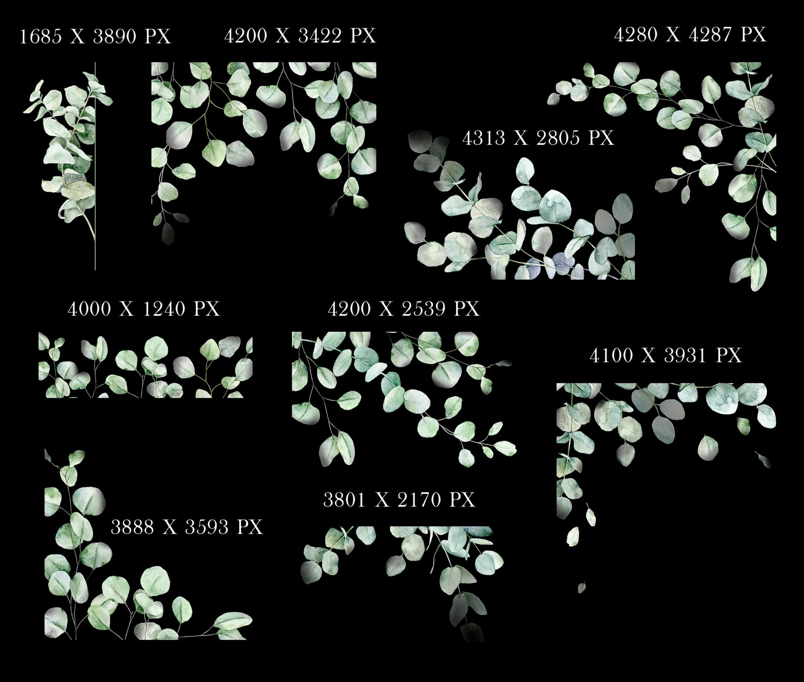 Watercolor Eucalyptus Border Greenery Frame Clipart - Etsy