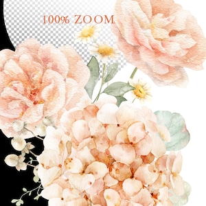 Blush Flowers Clipart, Peach Floral Clipart, Watercolor Flower Clip Art ...