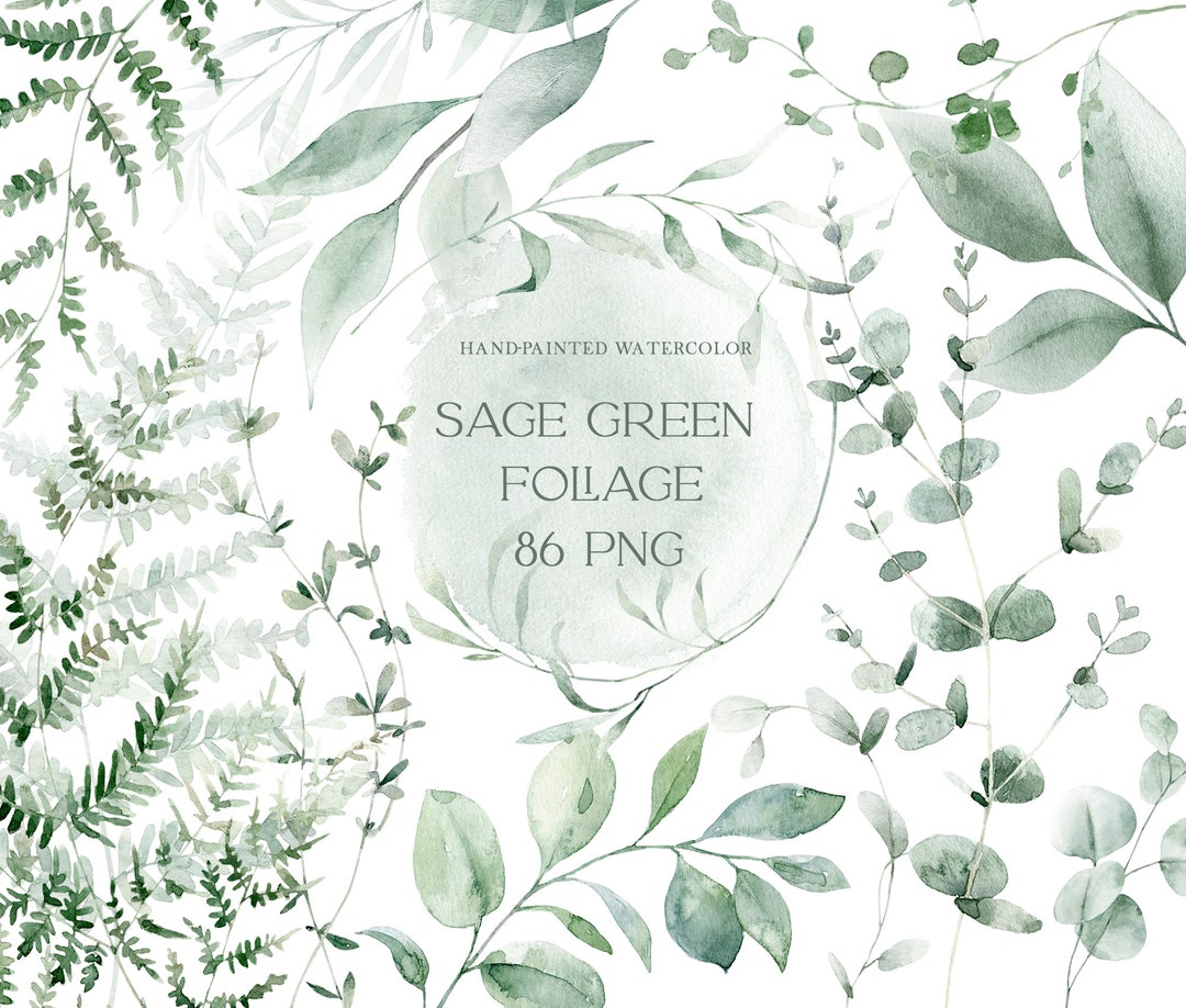 Watercolor Greenery Clipart Sage Green Leaves Hand Drawn Eucalyptus ...