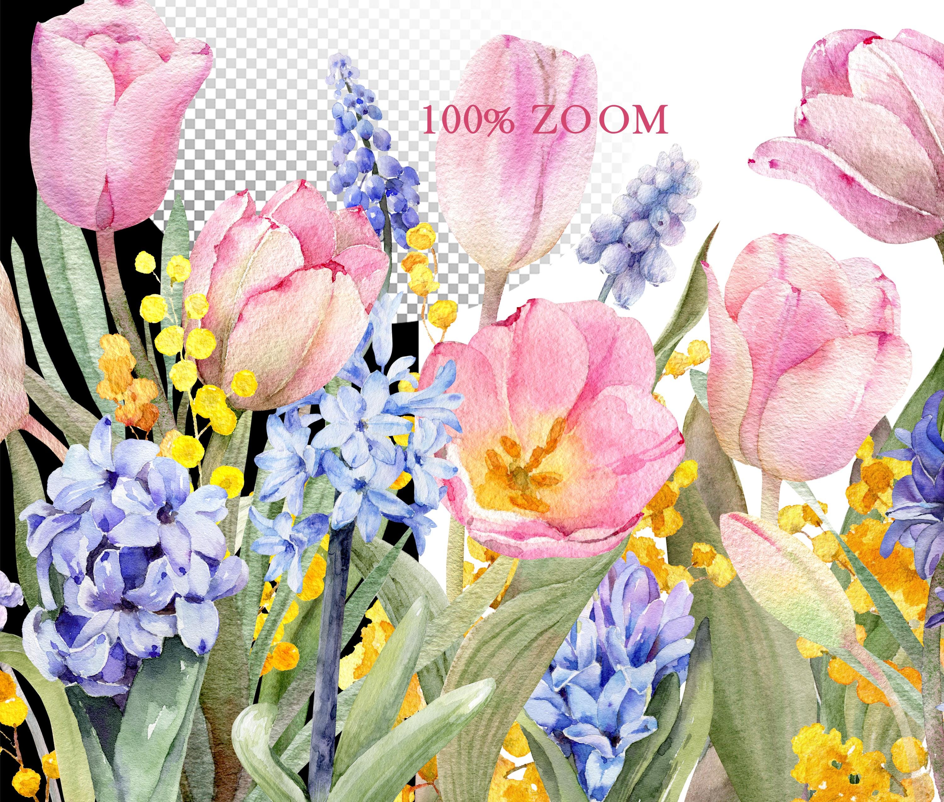 Watercolor Tulips Clipart, Spring Flower Clip Art, Watercolor Floral ...