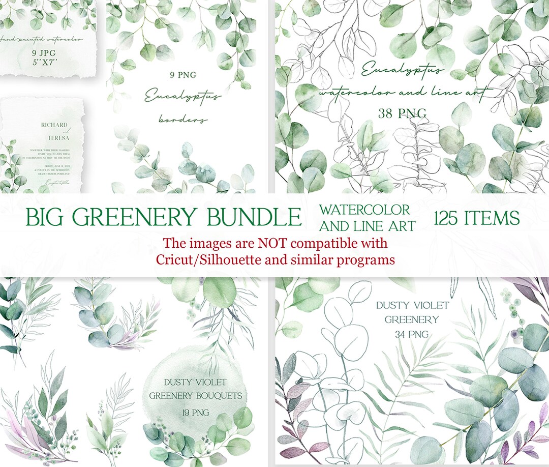 Greenery Clipart Bundle, Eucalyptus Border Watercolor Clipart ...