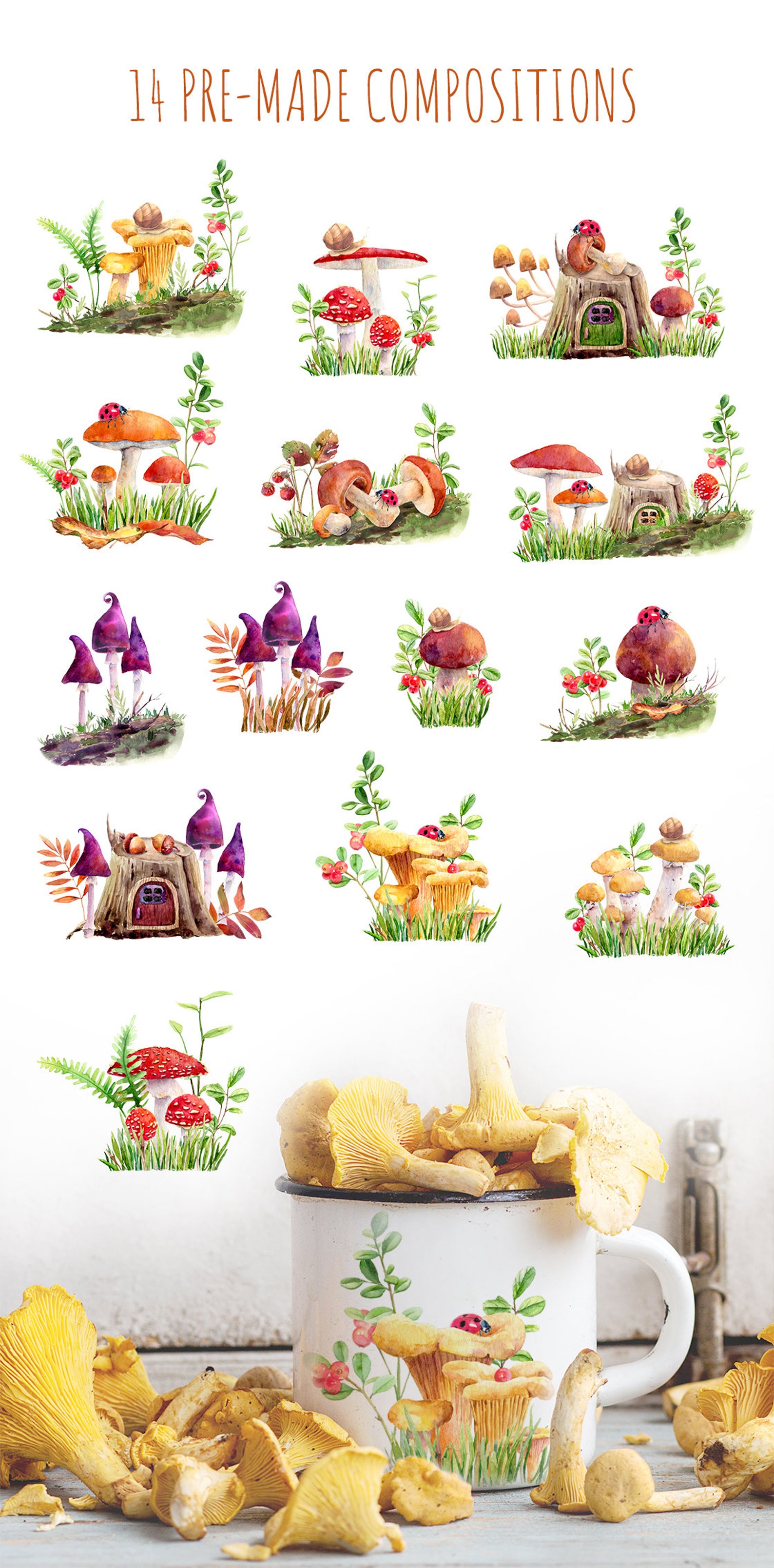 Watercolor Mushrooms Clipart Forest Plants Png Woodland - Etsy