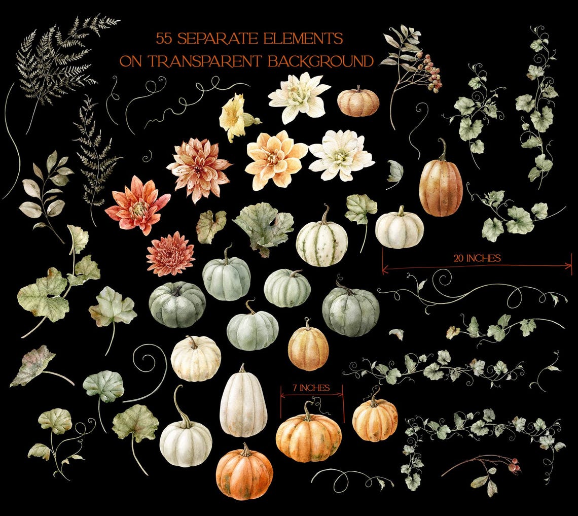 Watercolor Pumpkin Clipart, Orange Pumpkins Png, Fall Flowers Png ...