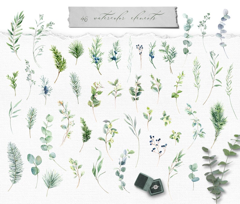 Watercolor Greenery Clipart, Eucalyptus Clip Art, Green Leaves ...