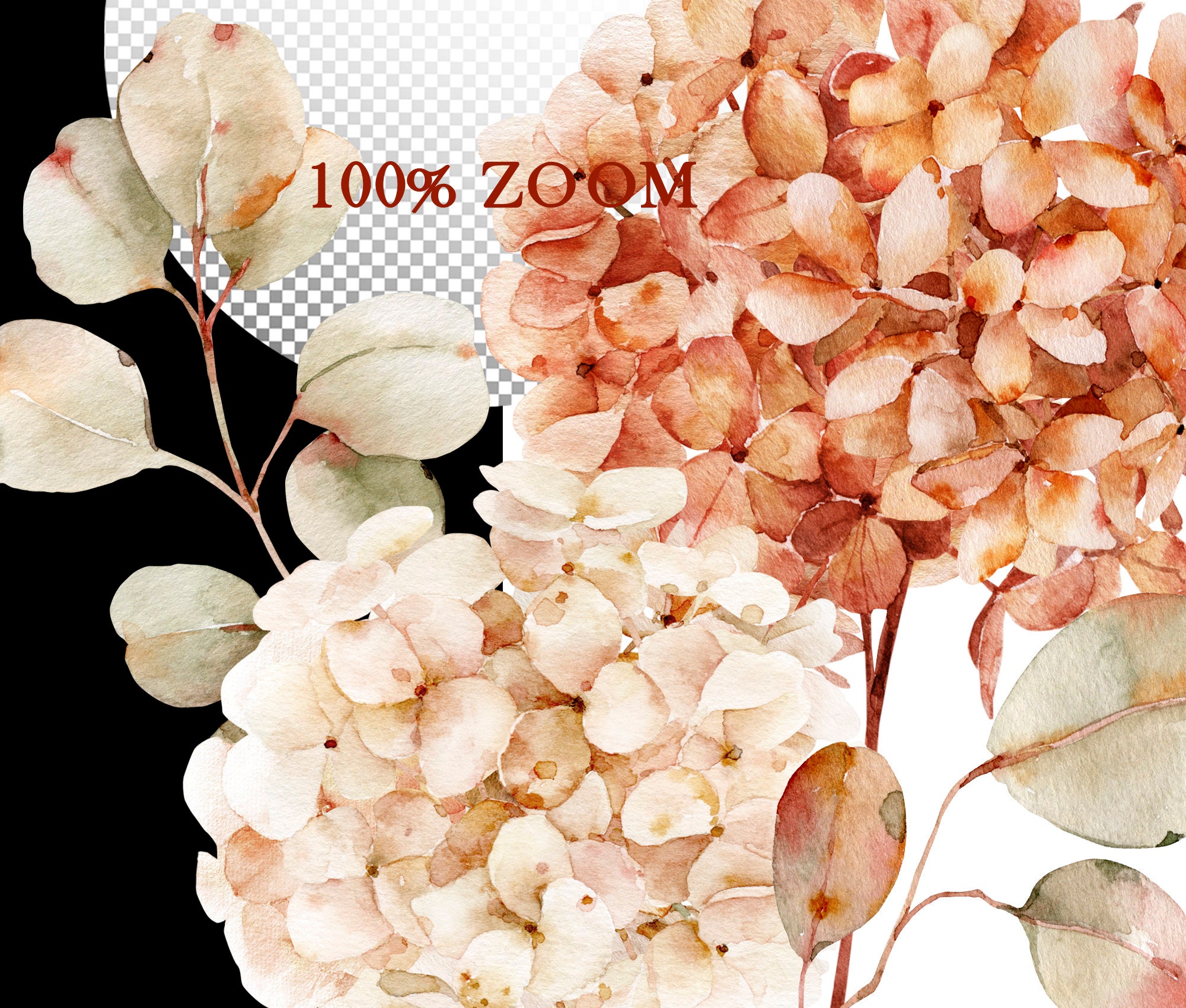 Watercolor Autumn Flowers Clipart, Fall Floral Png, Terracotta Flower ...