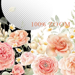 Peach Floral Clipart Bundle, Watercolor Blush Flowers Clipart ...