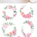 Watercolor Peony Clipart, Peonies Png, Blush Pink Flowers Clipart ...