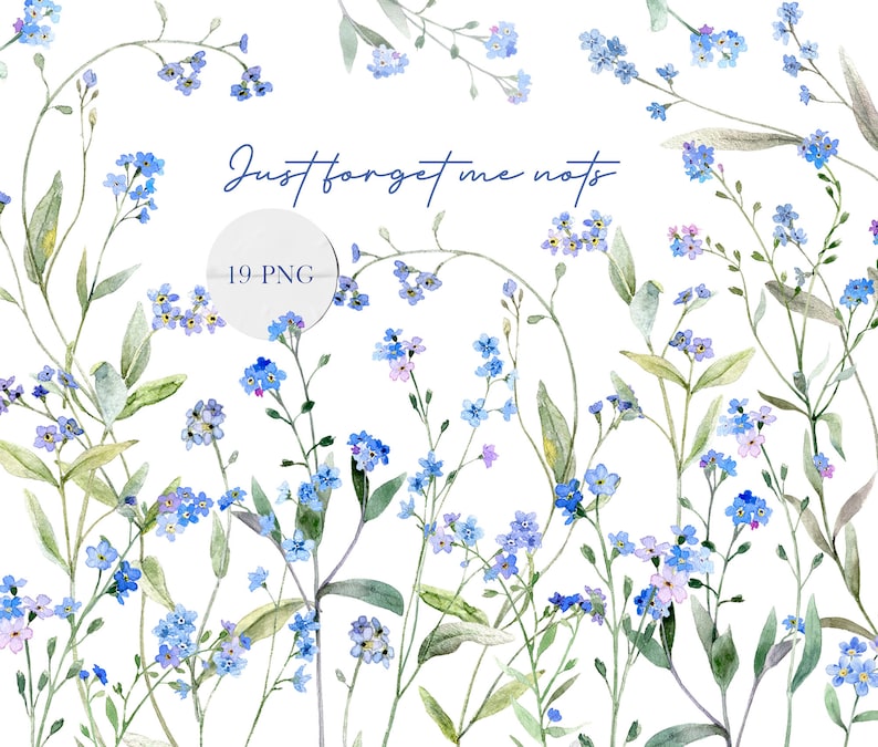 Forget Me Not Watercolor Clipart Blue Flowers Png Digital - Etsy
