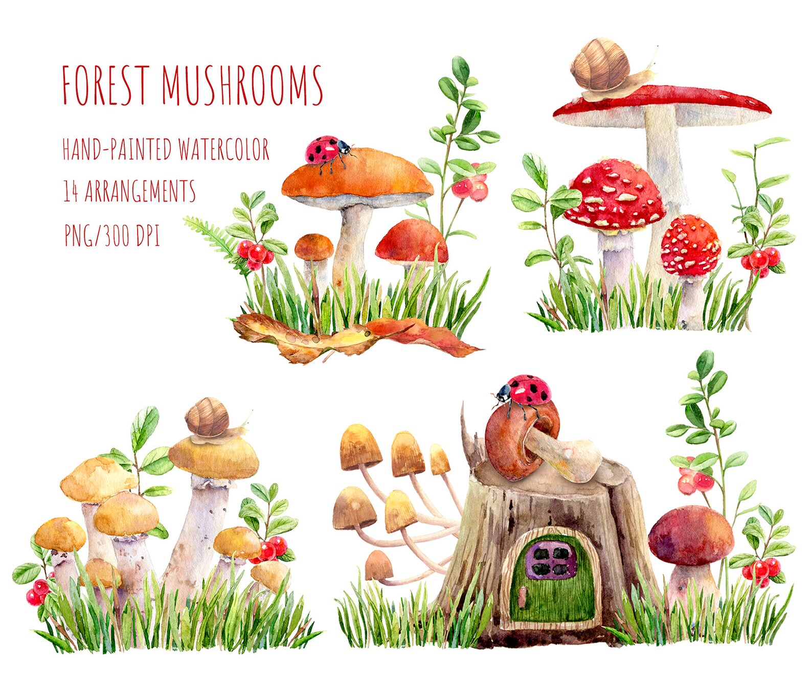 Watercolor Mushrooms Clipart Forest Plants Png Woodland - Etsy