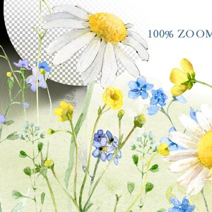 Watercolor Daisy Clipart, Watercolor Flowers, Floral Border, Daisies ...