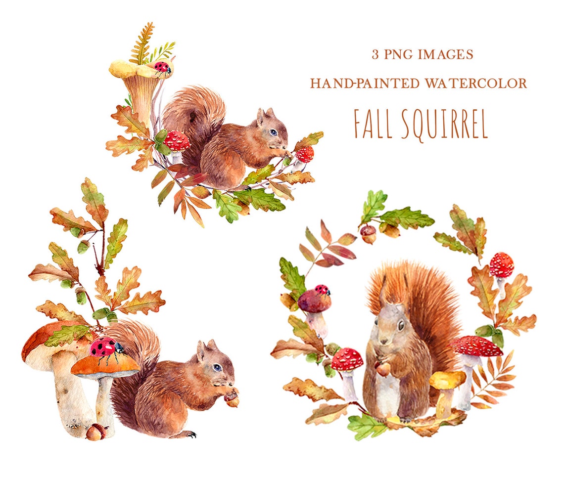 Watercolor Squirrel Clipart, Woodland Animals Clipart, Watercolor ...