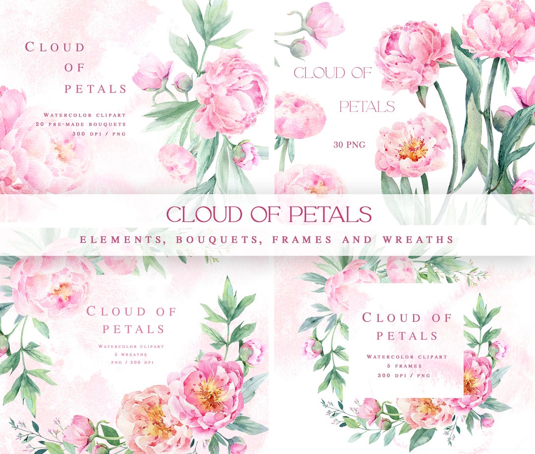 Watercolor Peony Clipart Peonies Png Blush Pink Flowers - Etsy