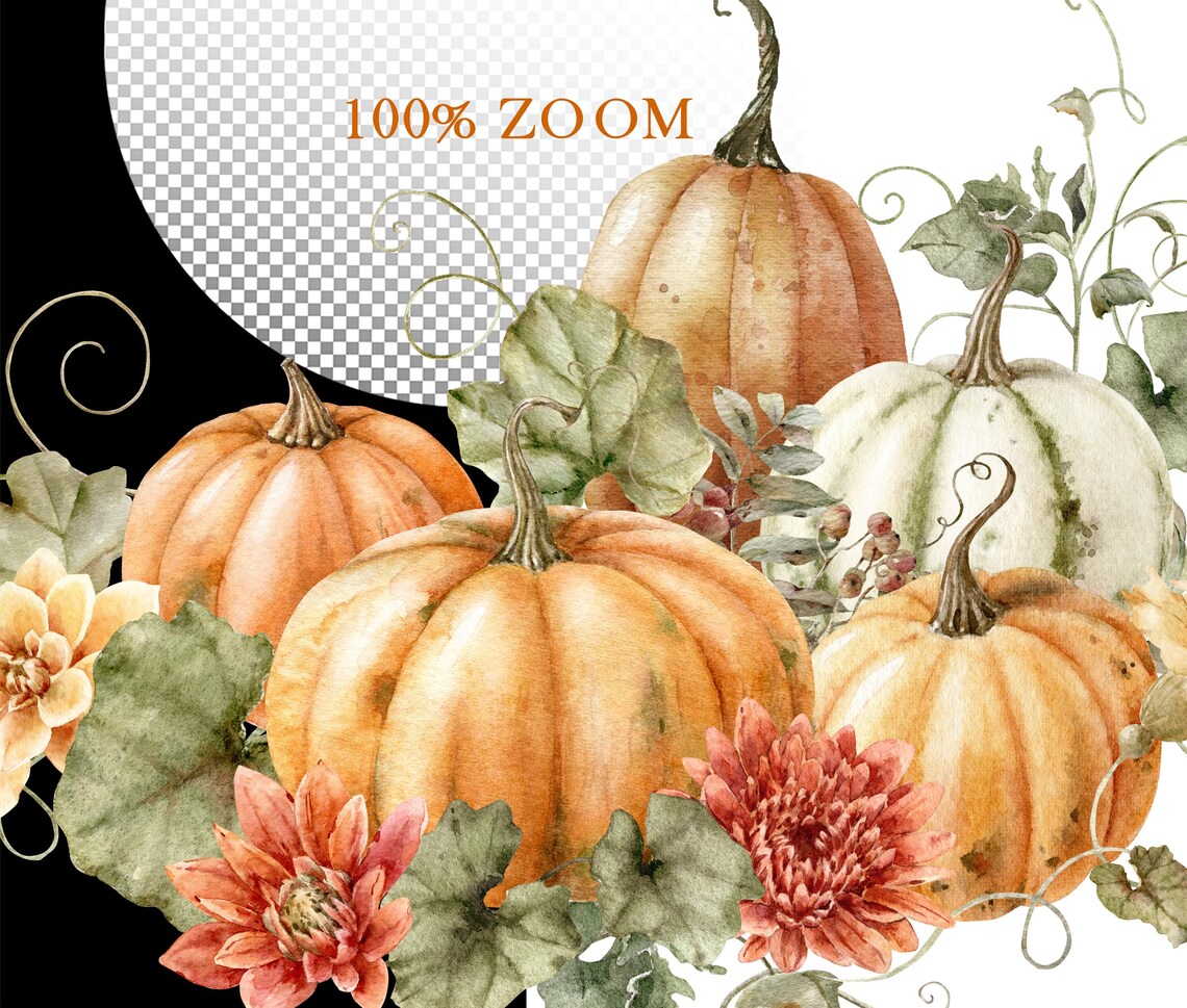 Watercolor Pumpkin Clipart, Orange Pumpkins Png, Fall Flowers Png ...