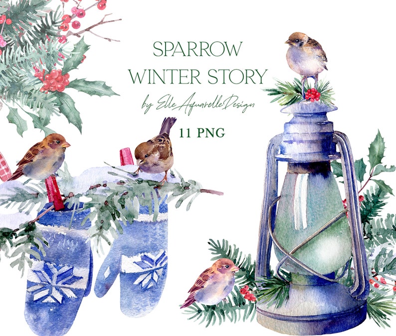 Watercolor Christmas Bird Clipart Cute Winter Birds Png - Etsy