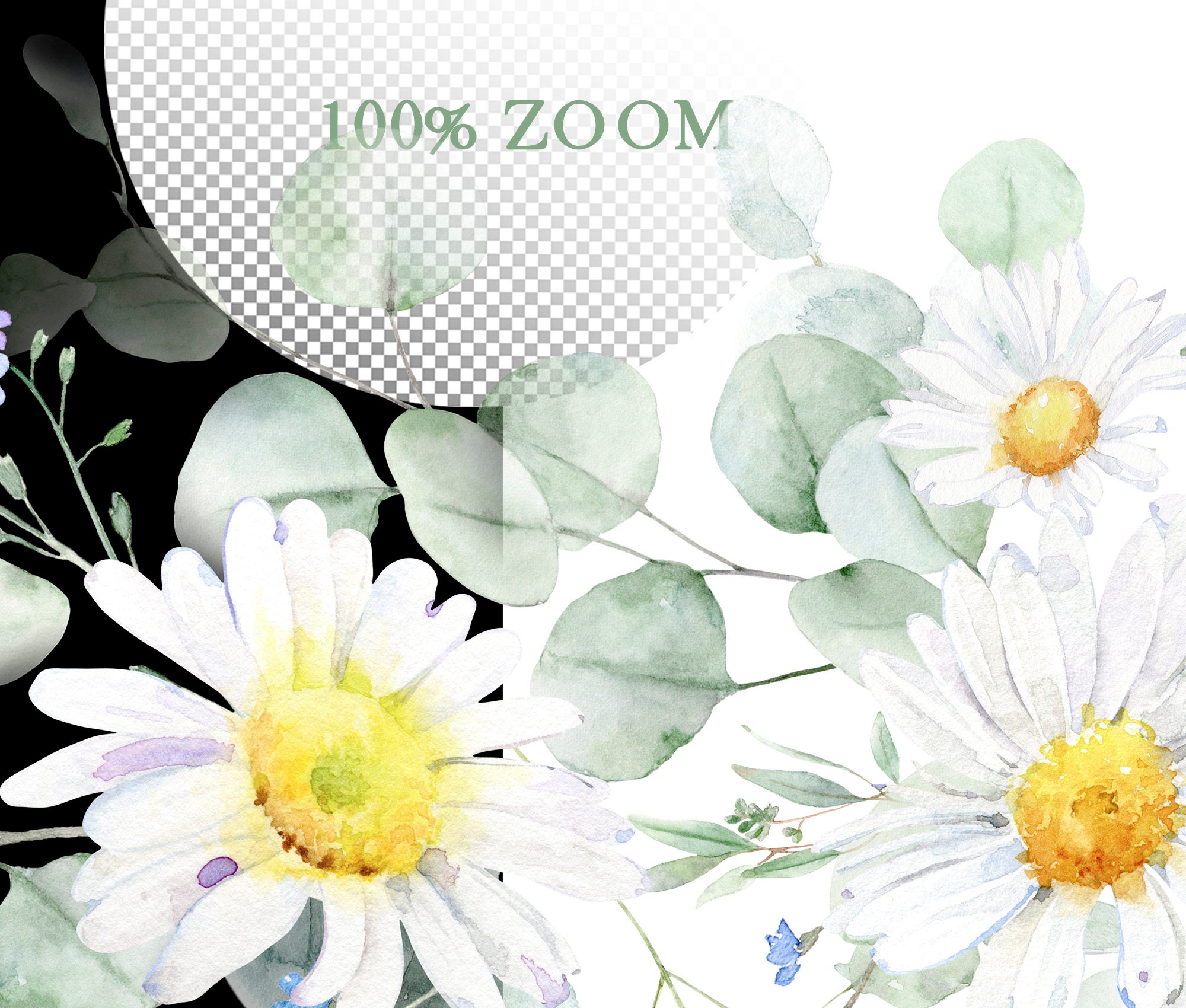 Watercolor Floral Border Clipart Daisy Clipart White Flowers - Etsy