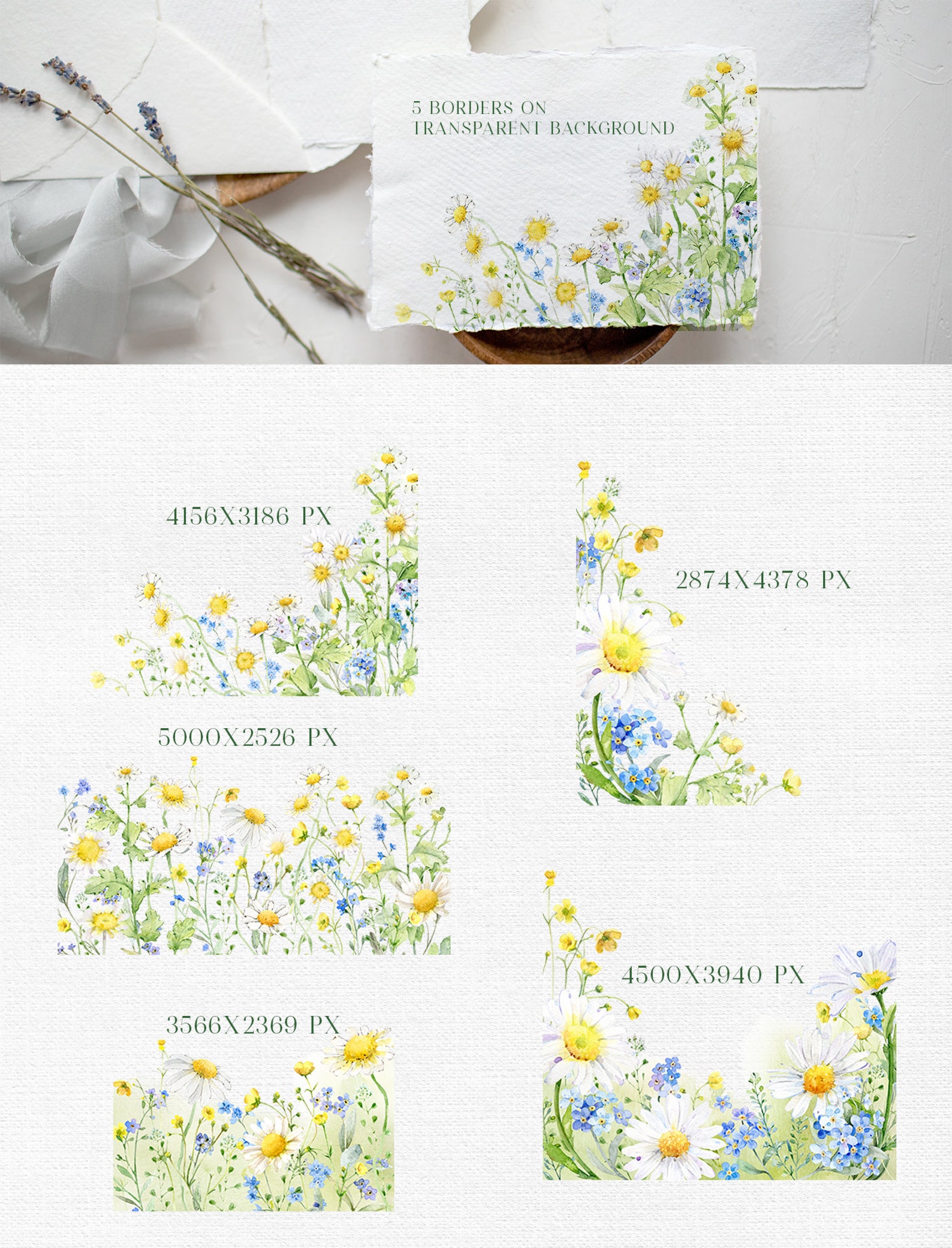 Watercolor Daisy Clipart Watercolor Flower Floral Border - Etsy