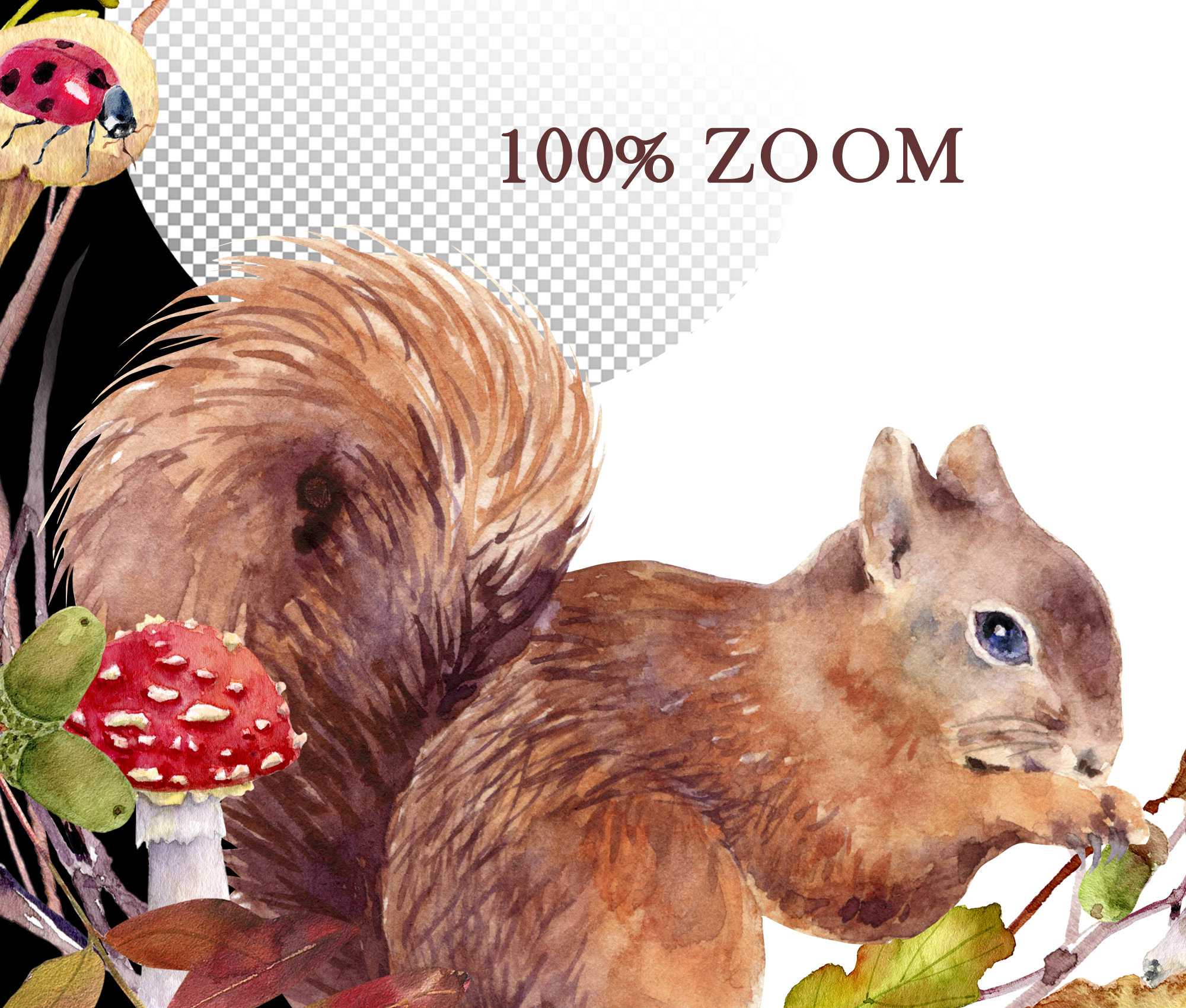 Watercolor Squirrel Clipart, Woodland Animals Clipart, Watercolor ...