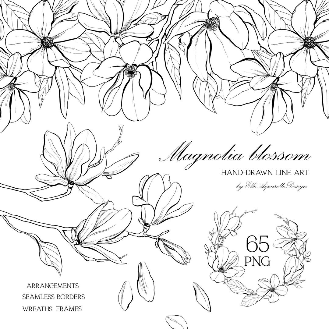 Magnolia Line Art Png, Botanical Graphics Clipart, Hand-drawn Spring ...