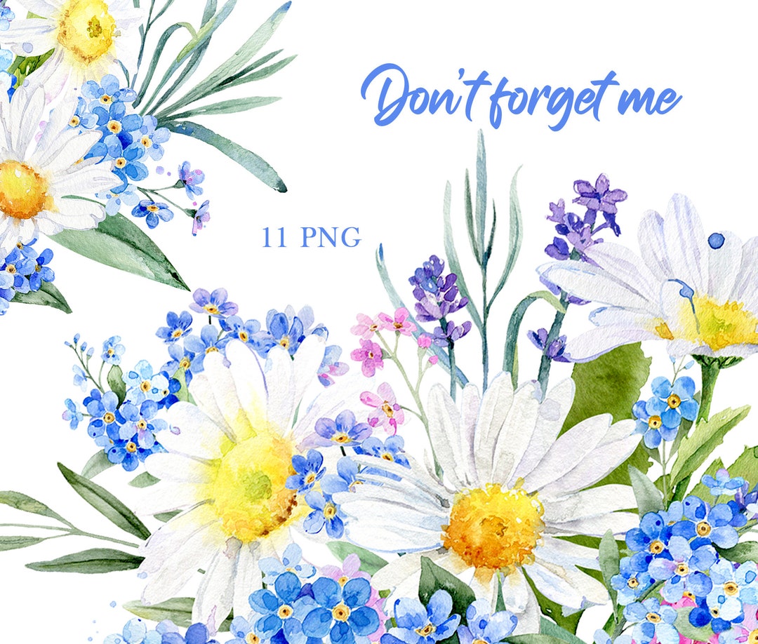 Watercolor Daisy Clipart, Watercolor Floral Clipart, Summer Flowers ...