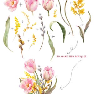 Watercolor Spring Flower Clipart, Tulip Clip Art, Spring Clipart ...