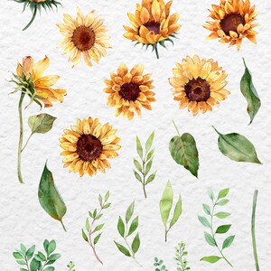 Watercolor Sunflower Clipart, Sunflowers Png, Wedding Invitation Clip ...
