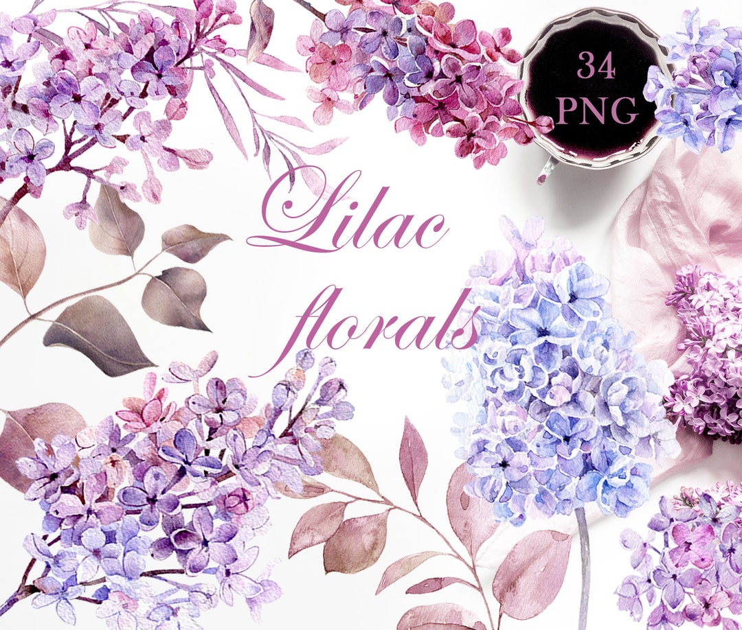 Spring Flowers Clipart, Lilac Clipart, Spring Florals, Watercolour Clip ...