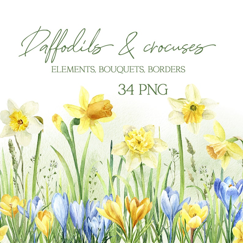 Spring Flowers Clipart, Watercolor Daffodils Png, Crocuses, Watercolor ...